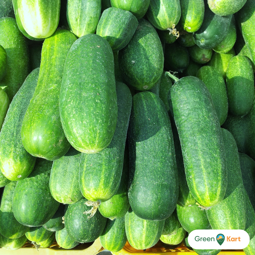 Cucumber box of 6 – Green Kart